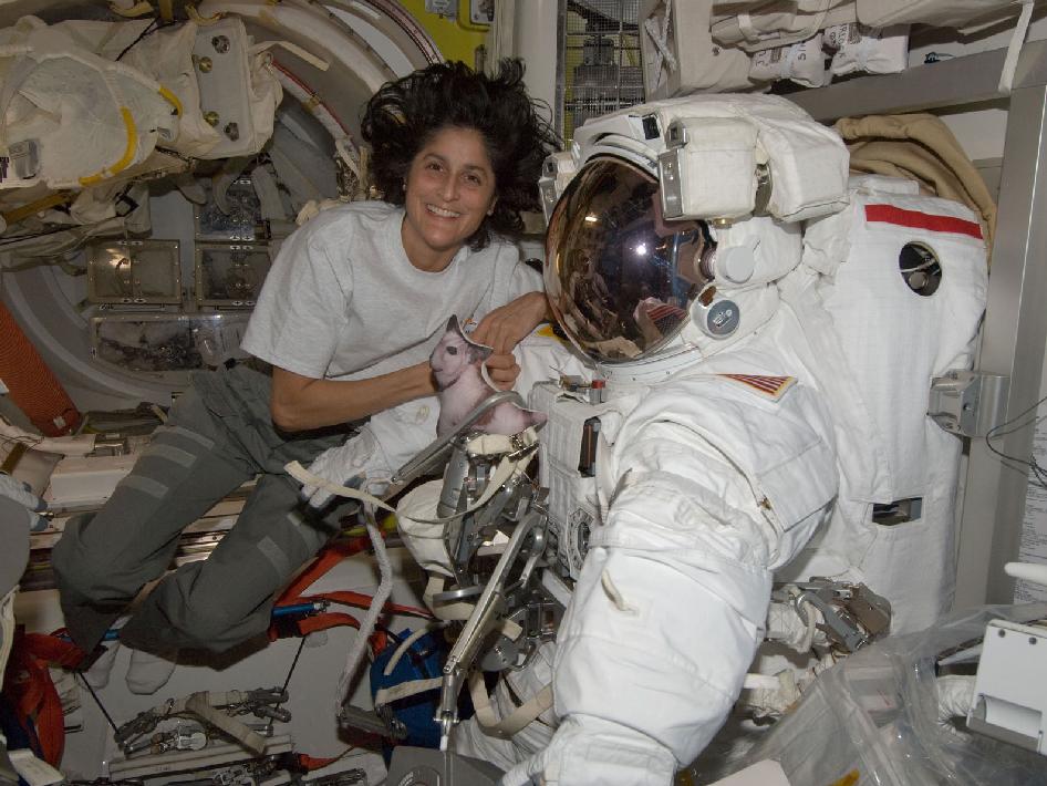 Sunita Williams' Space Mission Experience: How She Made History - India Darpan